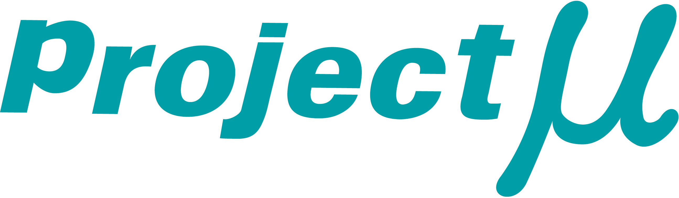 PROJECT MU SUPPORT SPRING FOR FS44S FOR CP-SS44S - Black Hawk Japan